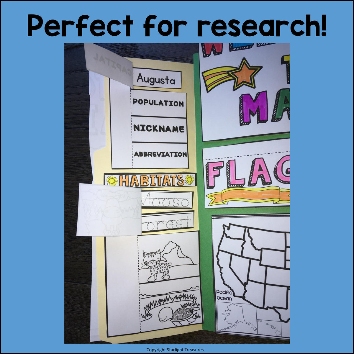 Maine Lapbook for Early Learners - A State Study – Starlight Treasures LLC