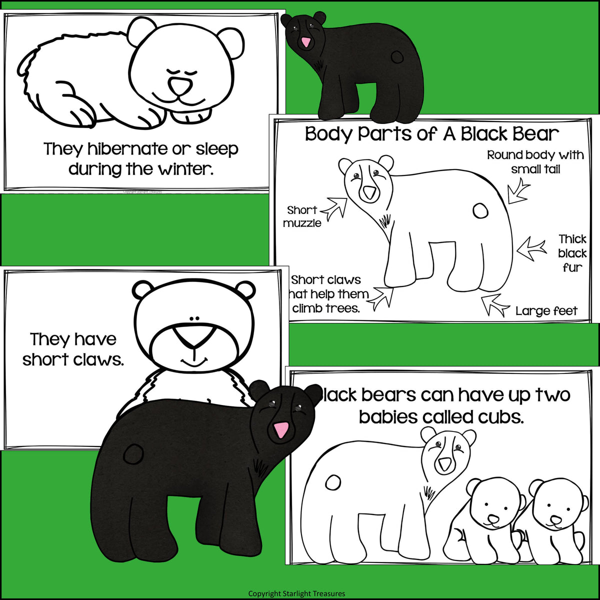 Black Bears Mini Book for Early Readers – Starlight Treasures LLC