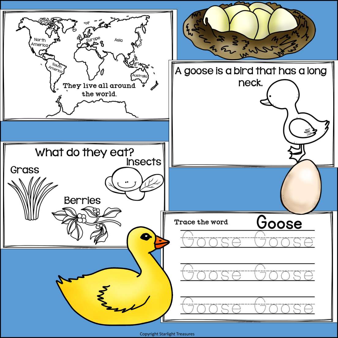 Goose Mini Book for Early Readers - Animal Study, Geese, Goose ...