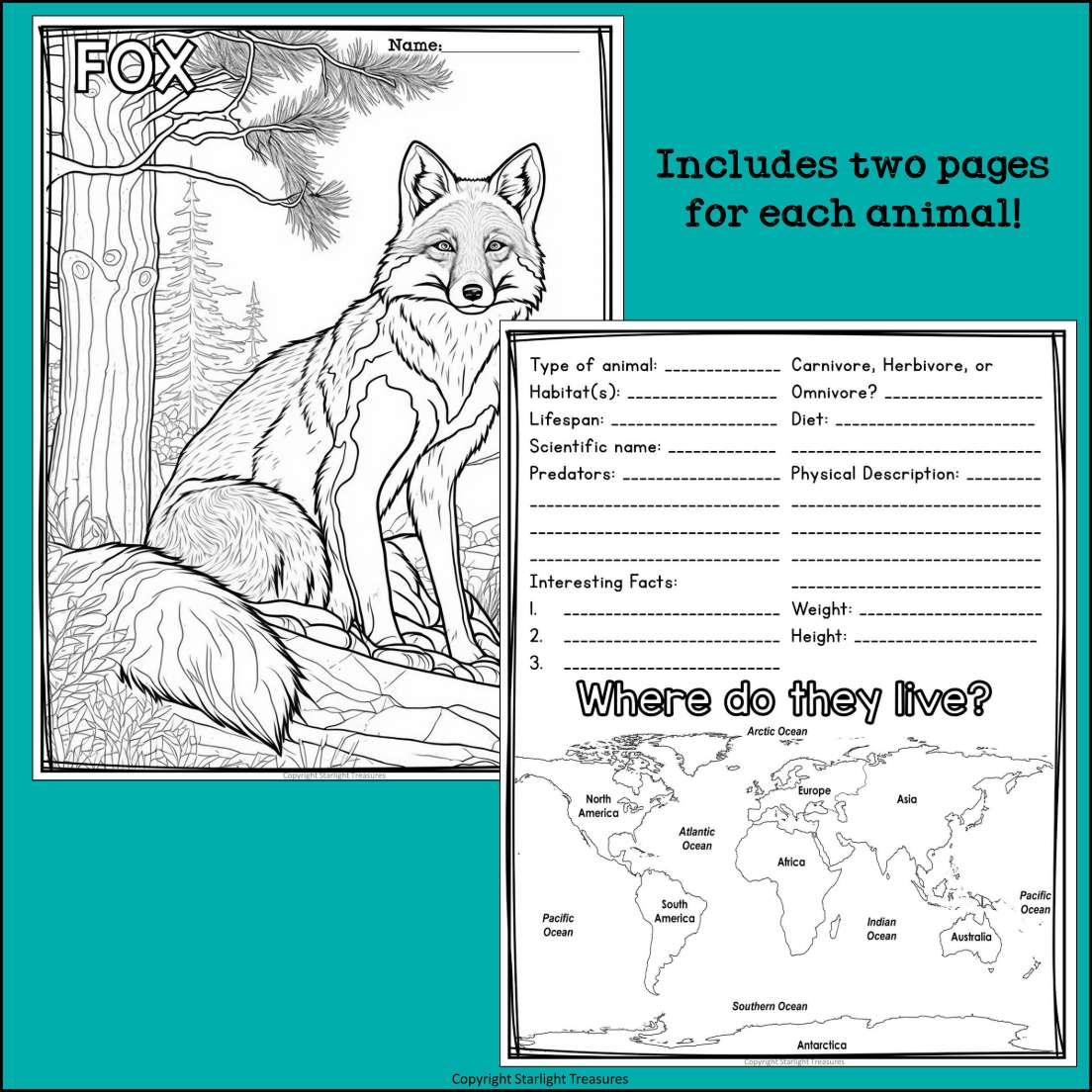 Woodland Animals Research Posters, Coloring Pages - Animal Research Pr ...