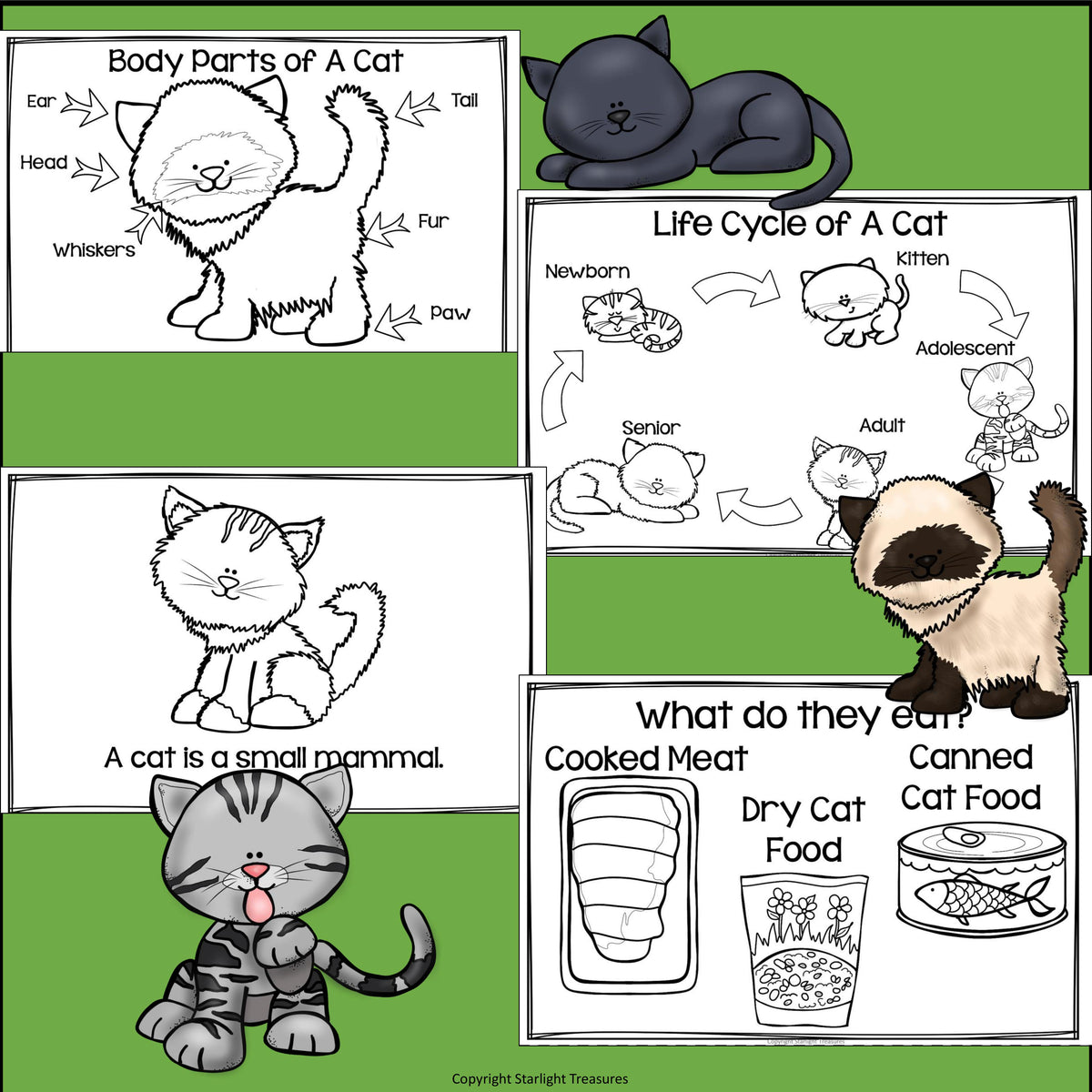 Cats Mini Book for Early Readers – Starlight Treasures LLC
