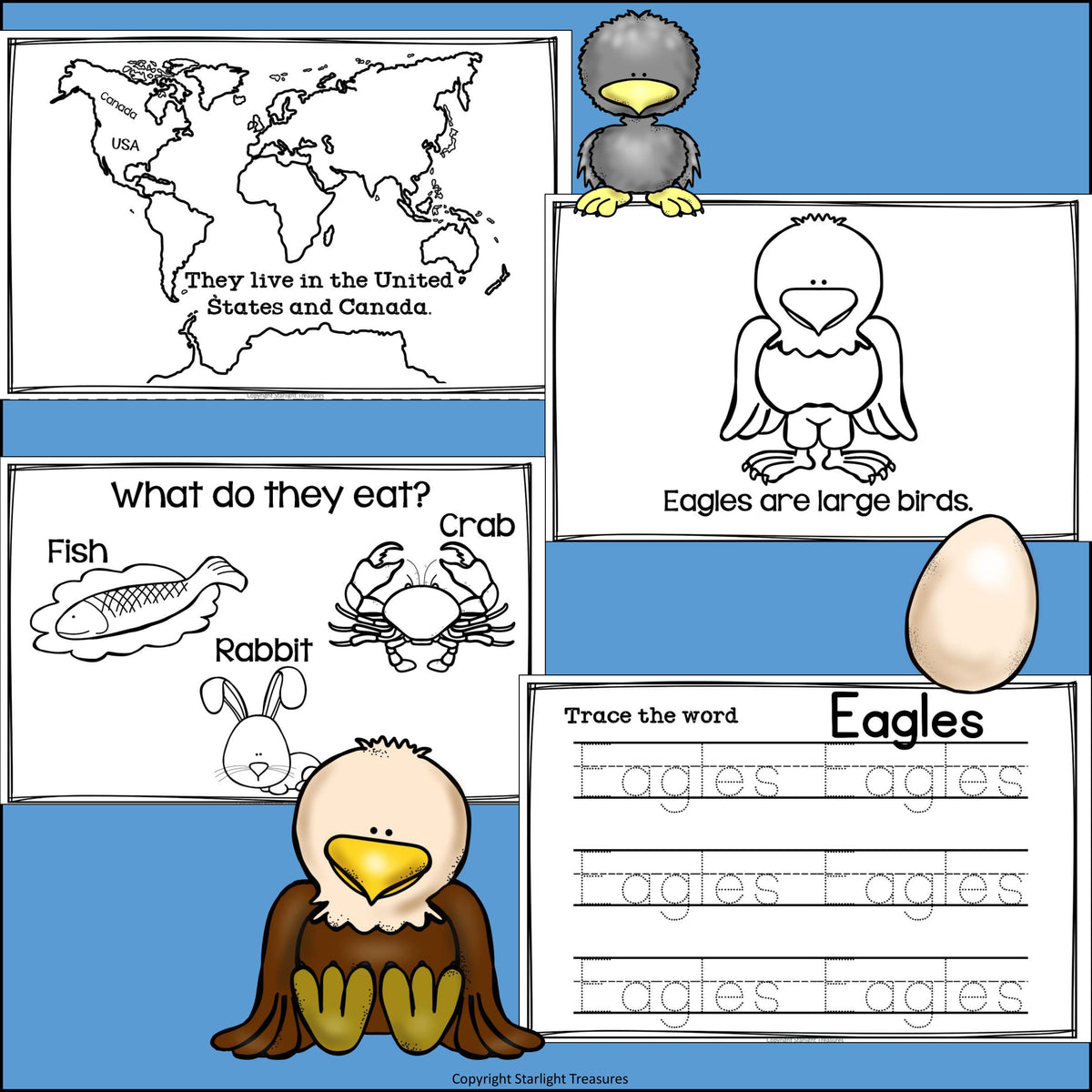 Eagles Mini Book for Early Readers: Bald Eagles – Starlight Treasures LLC