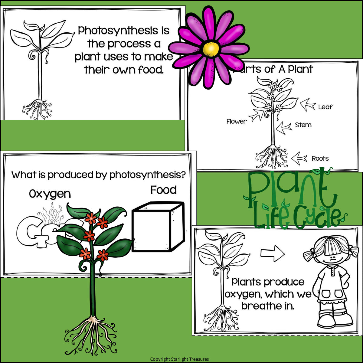 Plants Mini Book for Early Readers: Photosynthesis – Starlight ...