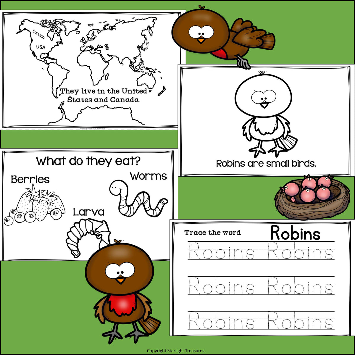 Robins Mini Book for Early Readers – Starlight Treasures LLC