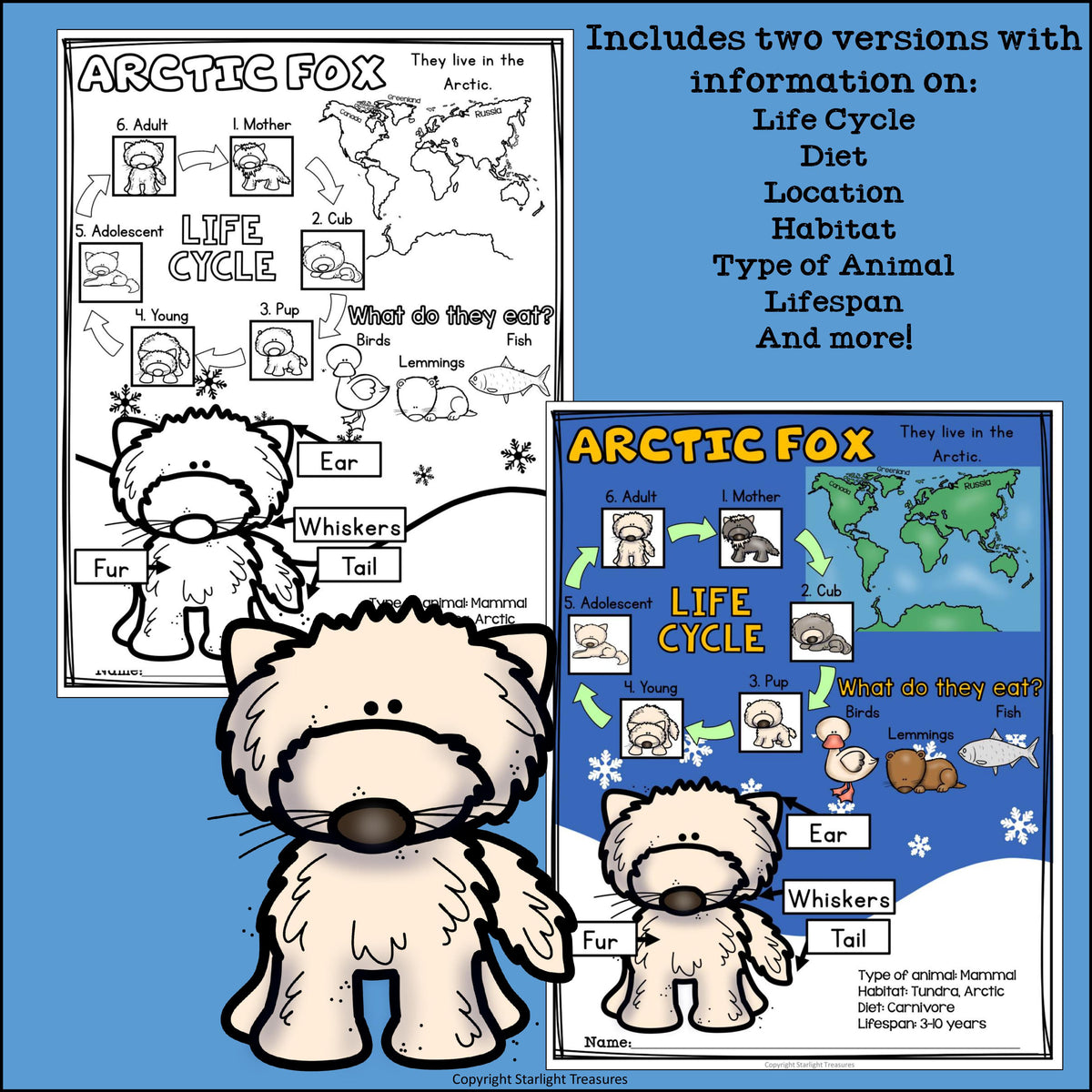 Arctic Fox Fact Sheet for Early Readers – Starlight Treasures LLC