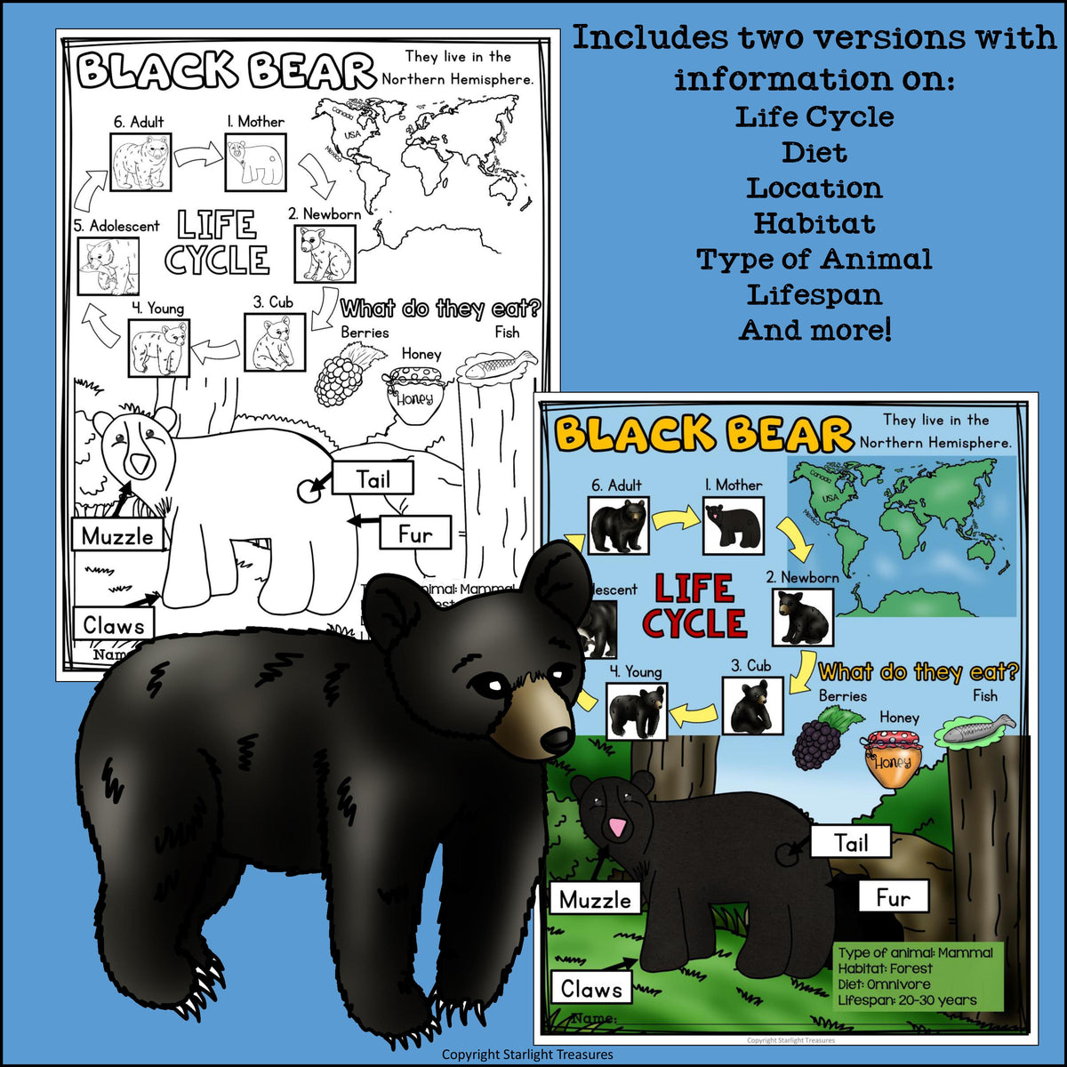 Black Bear Fact Sheet for Early Readers – Starlight Treasures LLC