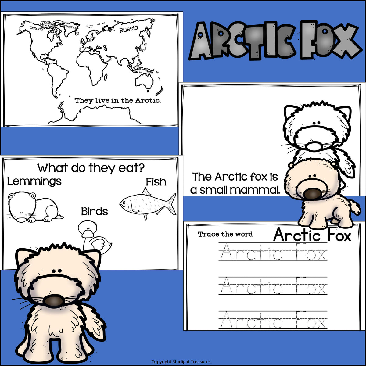 Arctic Fox Mini Book for Early Readers – Starlight Treasures LLC