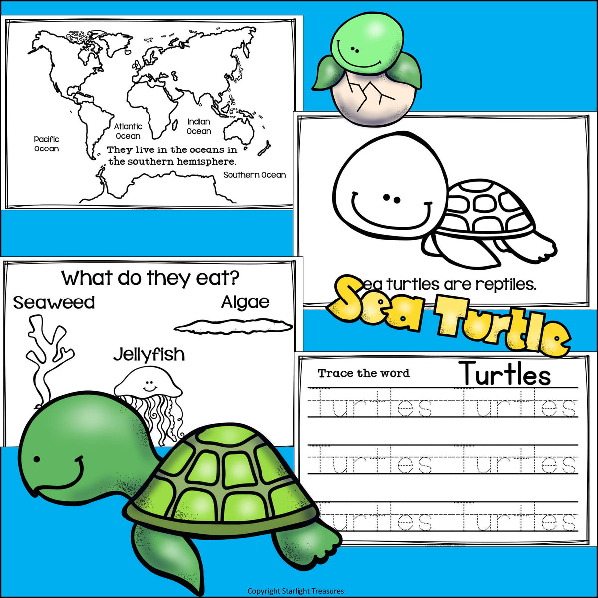 Sea Turtles Mini Book for Early Readers – Starlight Treasures LLC