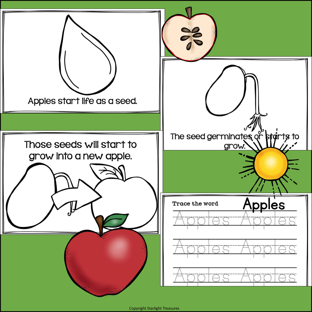 Apples Mini Book for Early Readers – Starlight Treasures LLC