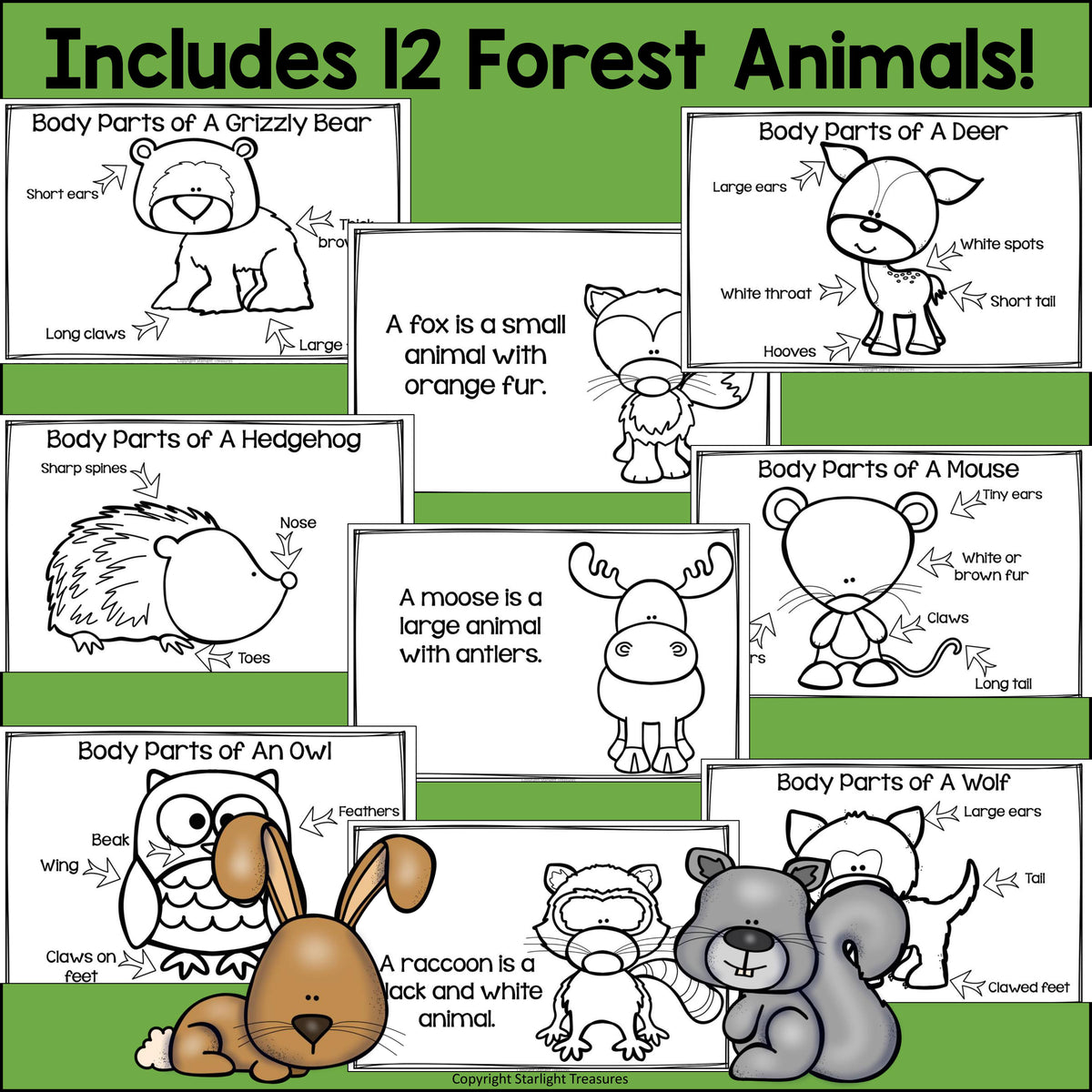 The Forest Mini Book for Early Readers: Forest Animals – Starlight ...