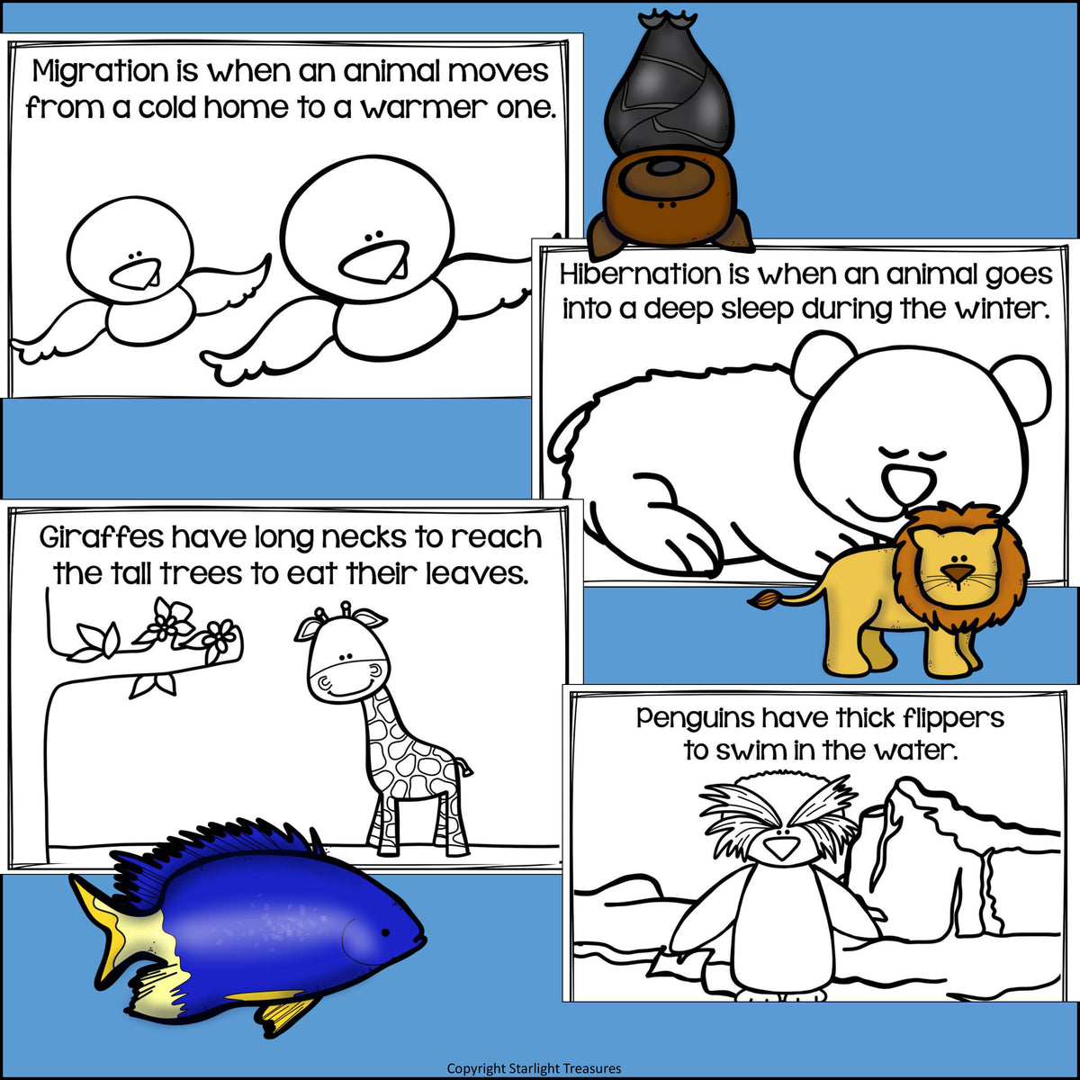 Animal Adaptations Mini Book for Early Readers – Starlight Treasures LLC