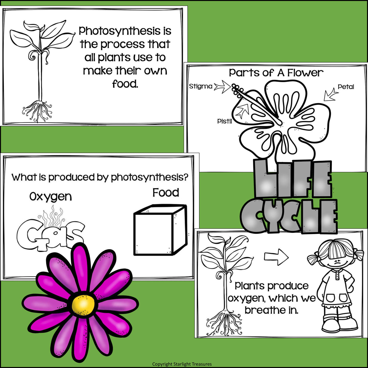 Flowers Mini Book for Early Readers – Starlight Treasures LLC