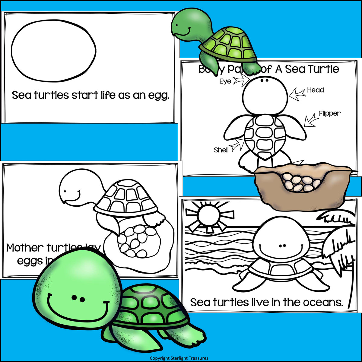 Sea Turtles Mini Book for Early Readers – Starlight Treasures LLC