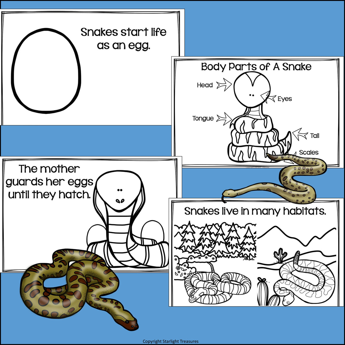 Snakes Mini Book for Early Readers – Starlight Treasures LLC