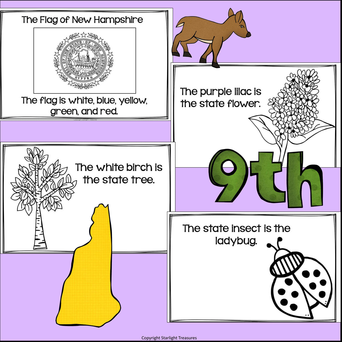 New Hampshire Mini Book for Early Readers - A State Study – Starlight ...