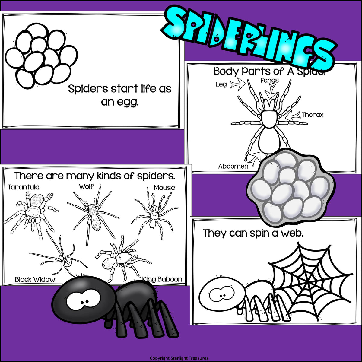 Spiders Mini Book for Early Readers – Starlight Treasures LLC