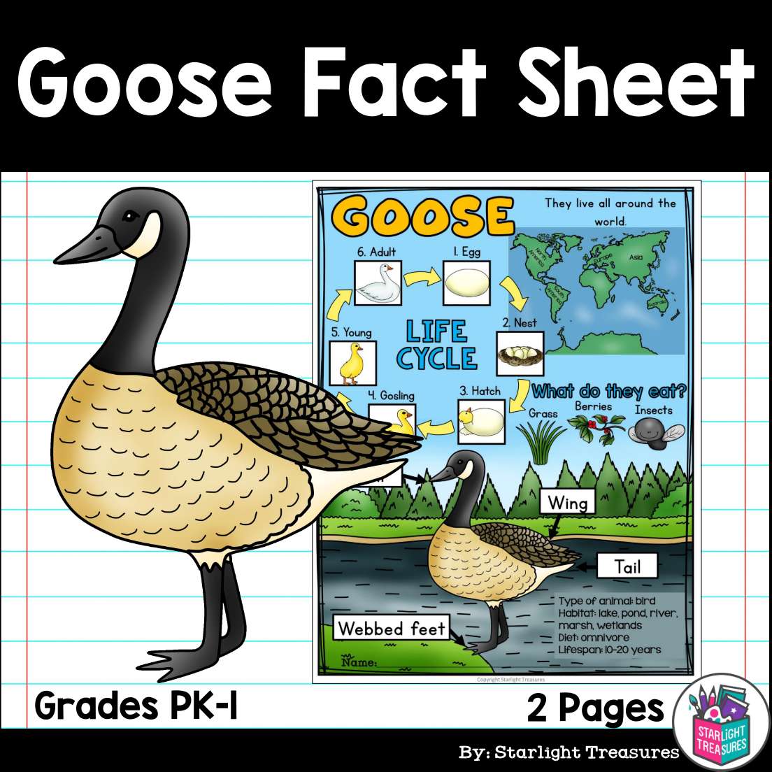 Goose Fact Sheets for Early Readers - Animal Study, Geese – Starlight ...