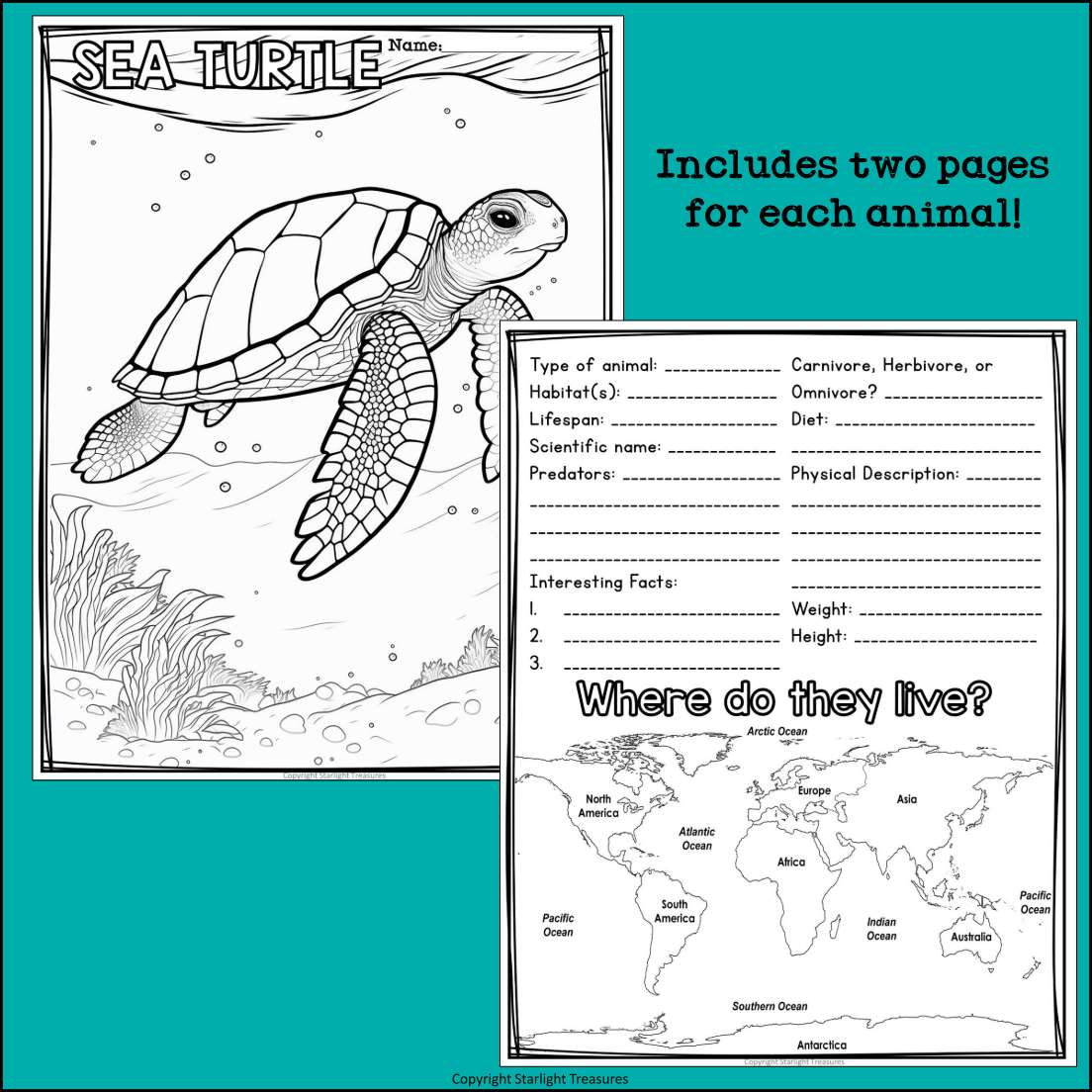 Ocean Animals Research Posters, Coloring Pages - Animal Research Proje ...