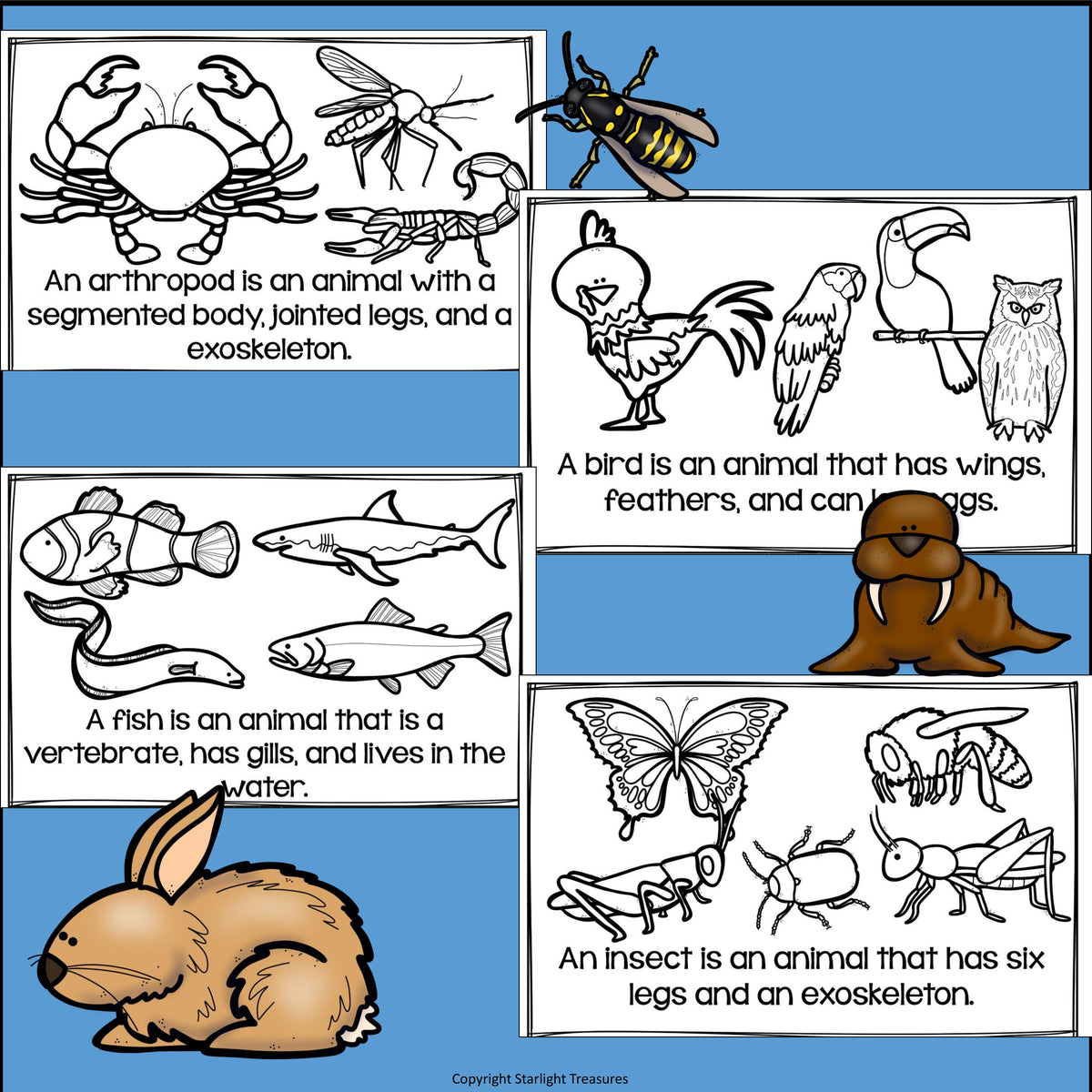 Animal Groups Mini Book for Early Readers: Animal Classifications ...