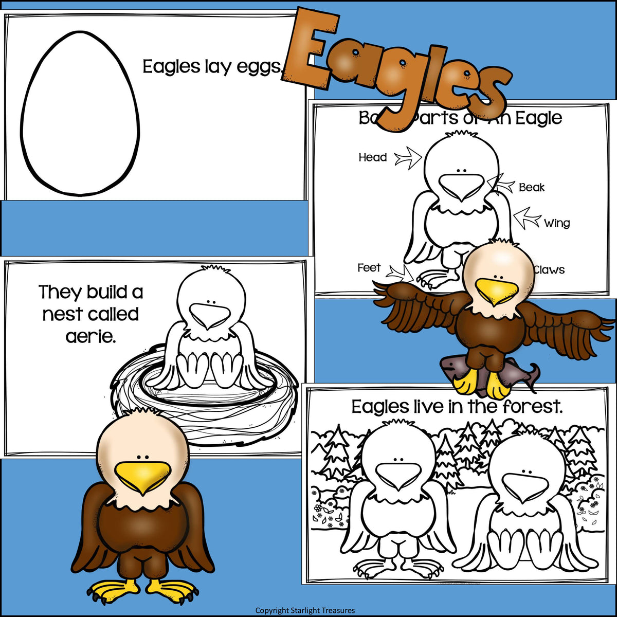 Eagles Mini Book for Early Readers: Bald Eagles – Starlight Treasures LLC