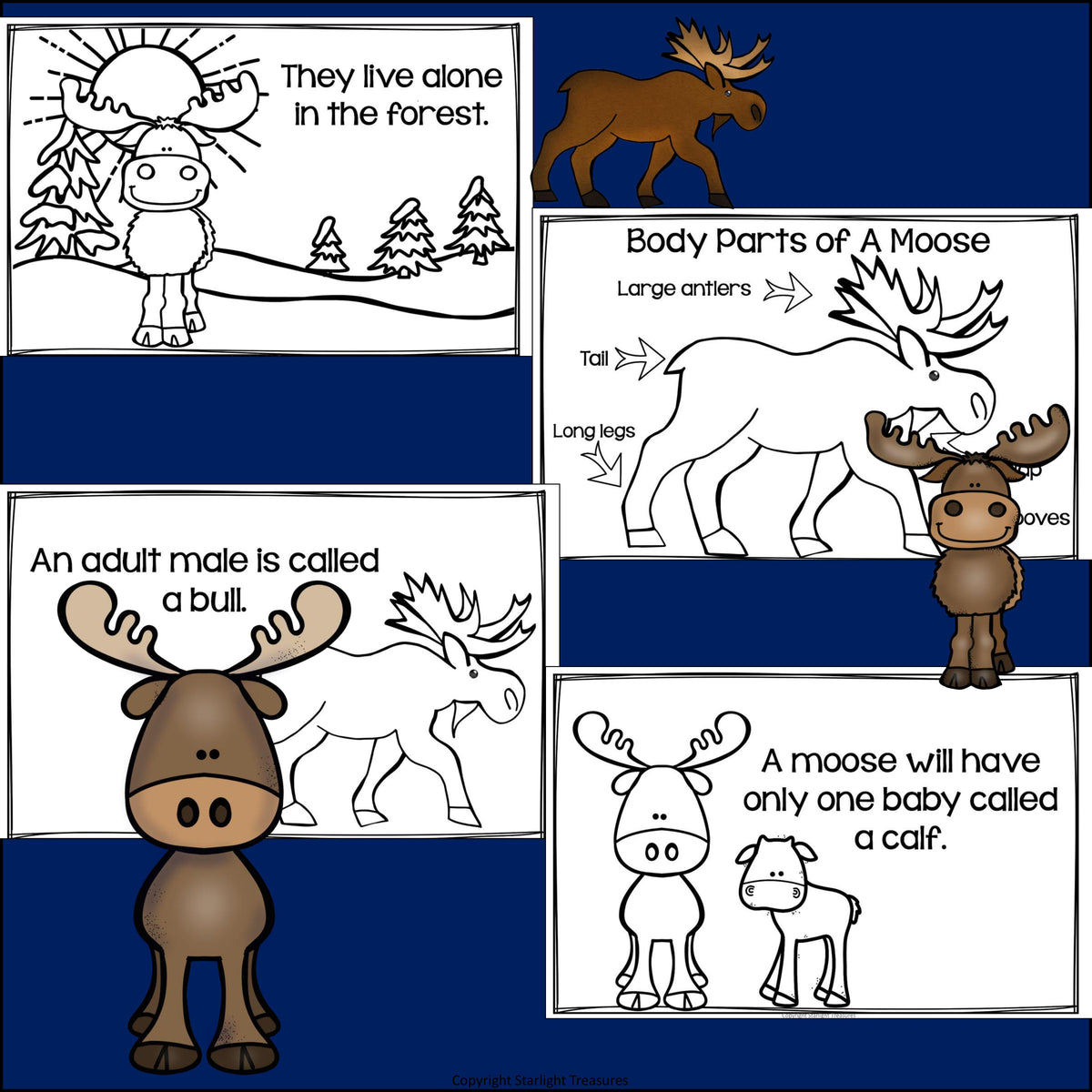 Moose Mini Book for Early Readers – Starlight Treasures LLC