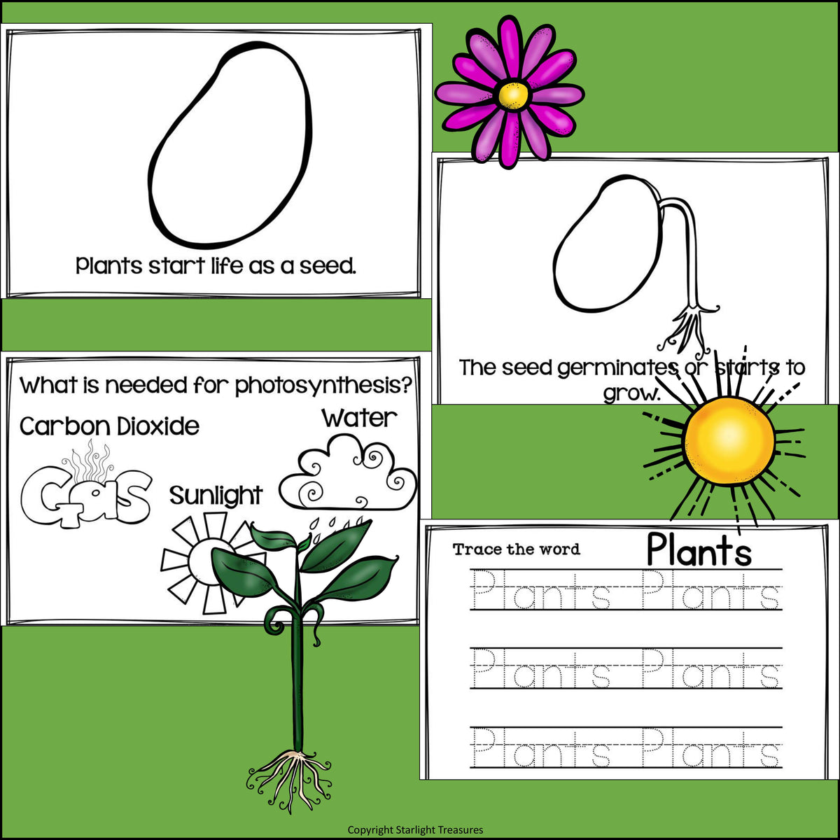 Plants Mini Book for Early Readers: Photosynthesis – Starlight ...