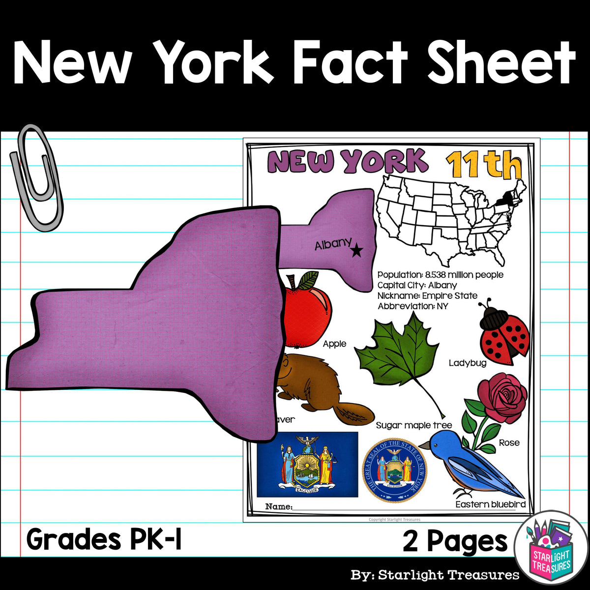 New York Fact Sheet - A State Study – Starlight Treasures LLC