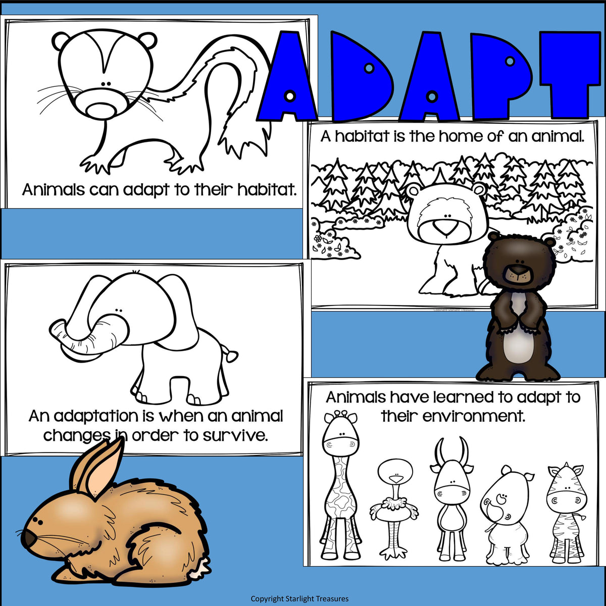 Animal Adaptations Mini Book for Early Readers – Starlight Treasures LLC