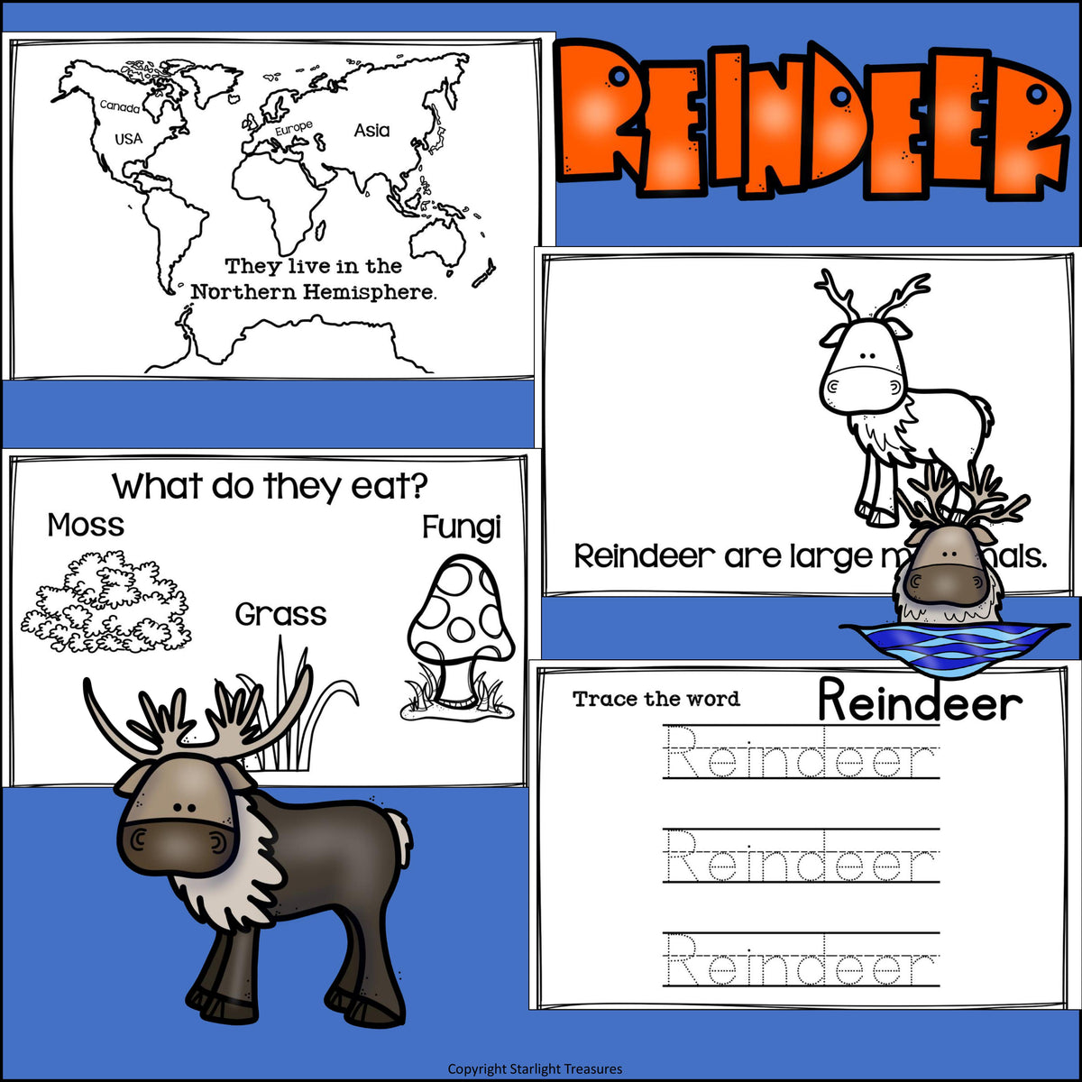 Reindeer Mini Book for Early Readers (Caribou) – Starlight Treasures LLC