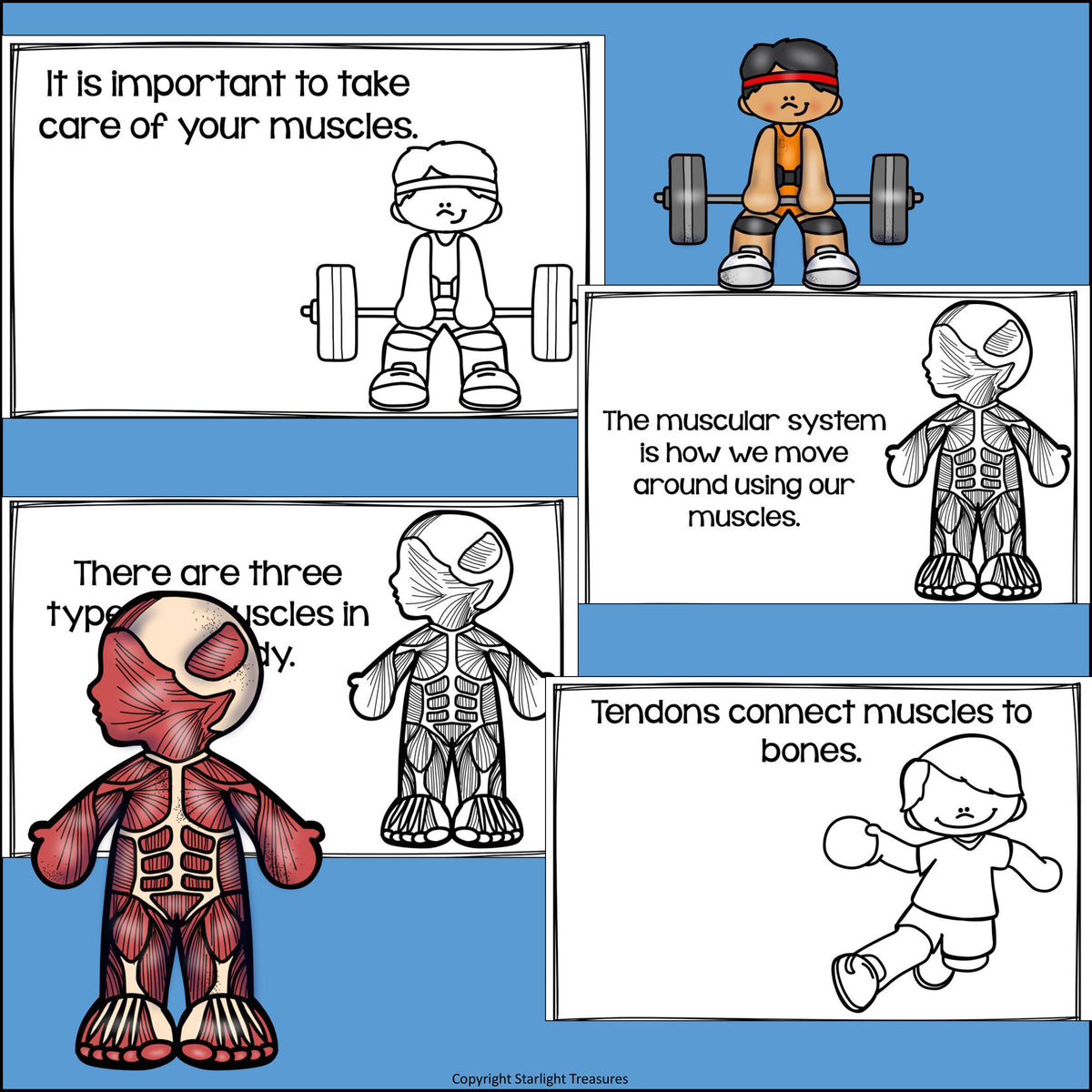 Human Body Systems: Muscular System Mini Book for Early Readers ...