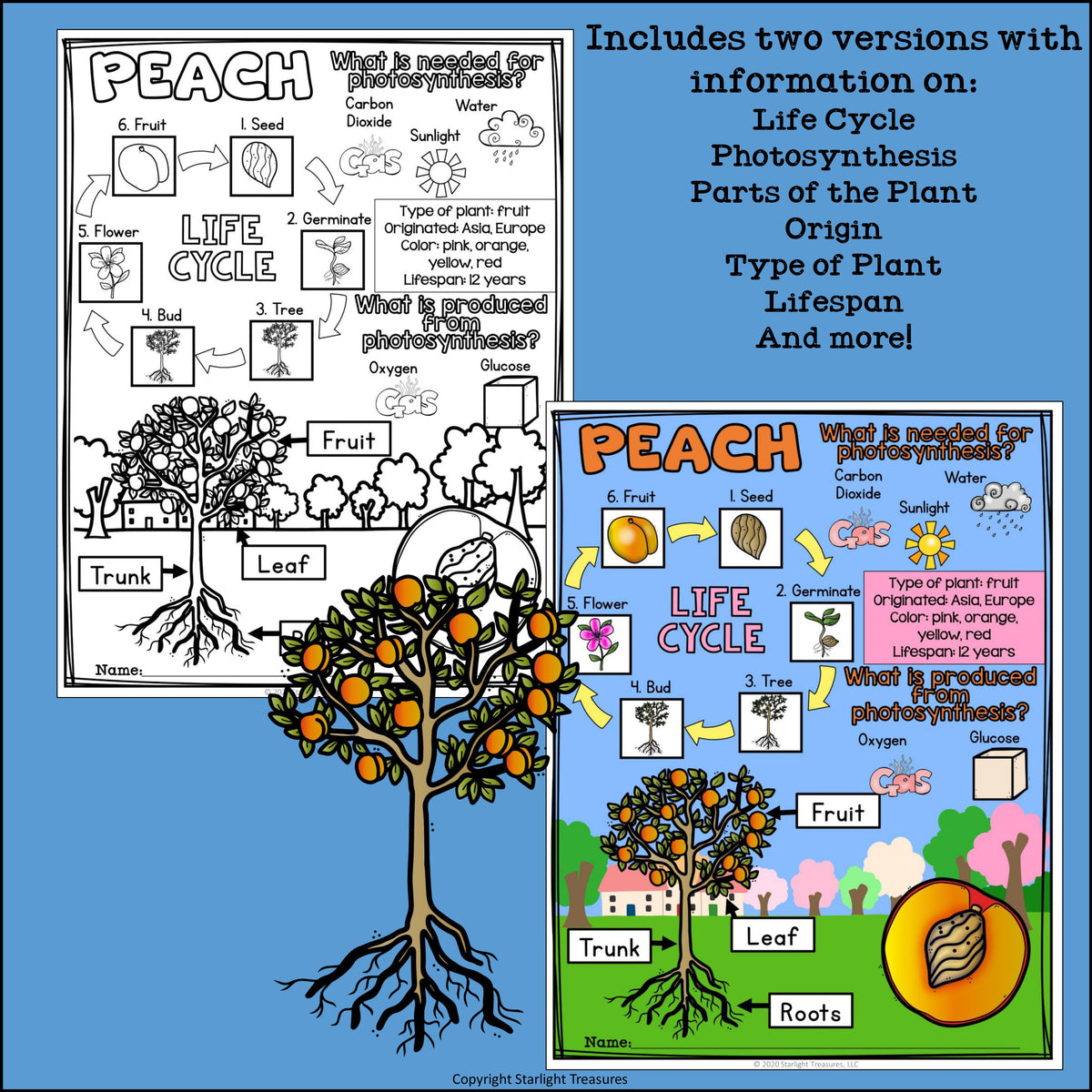 Peach Fact Sheet for Early Readers – Starlight Treasures LLC
