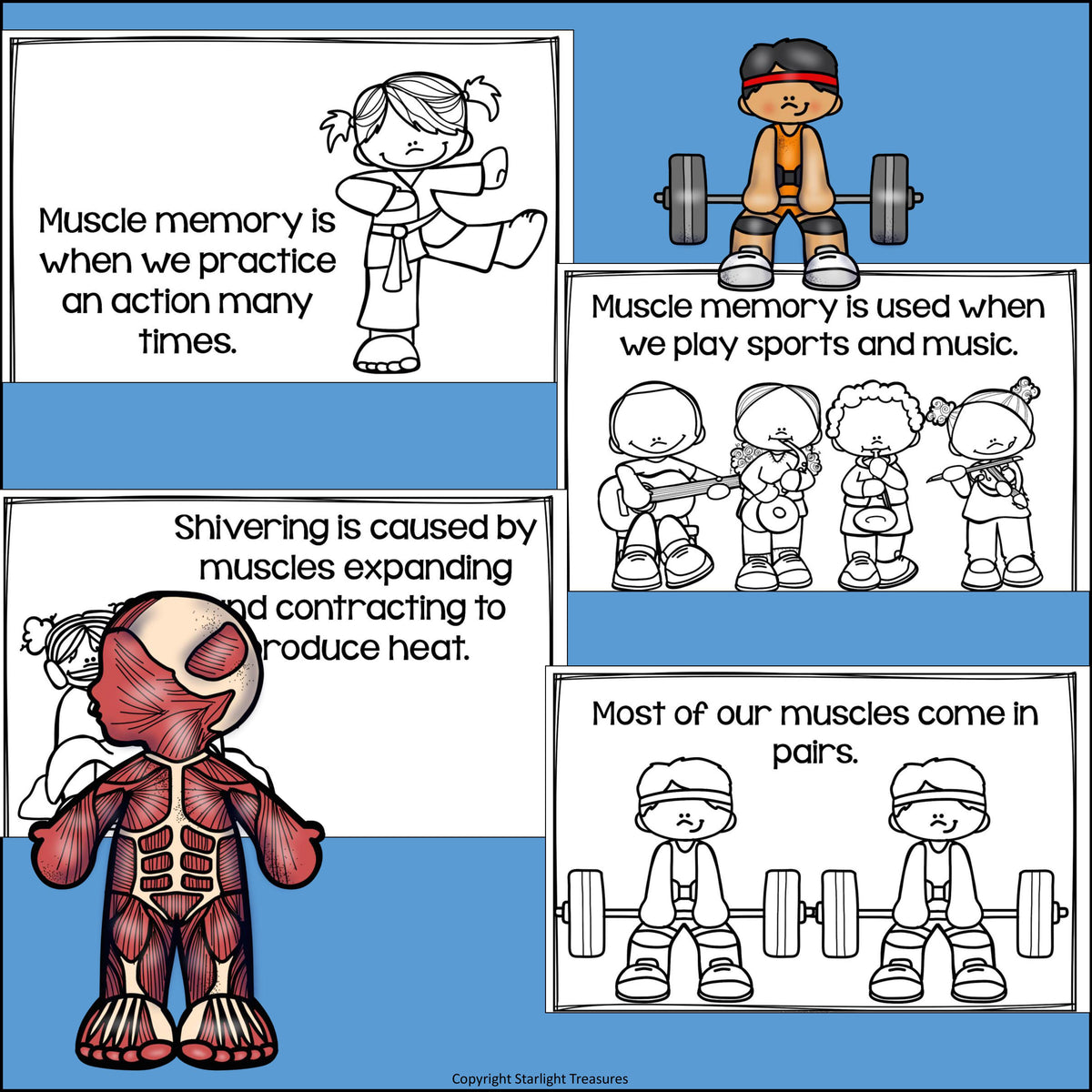 Human Body Systems: Muscular System Mini Book for Early Readers ...