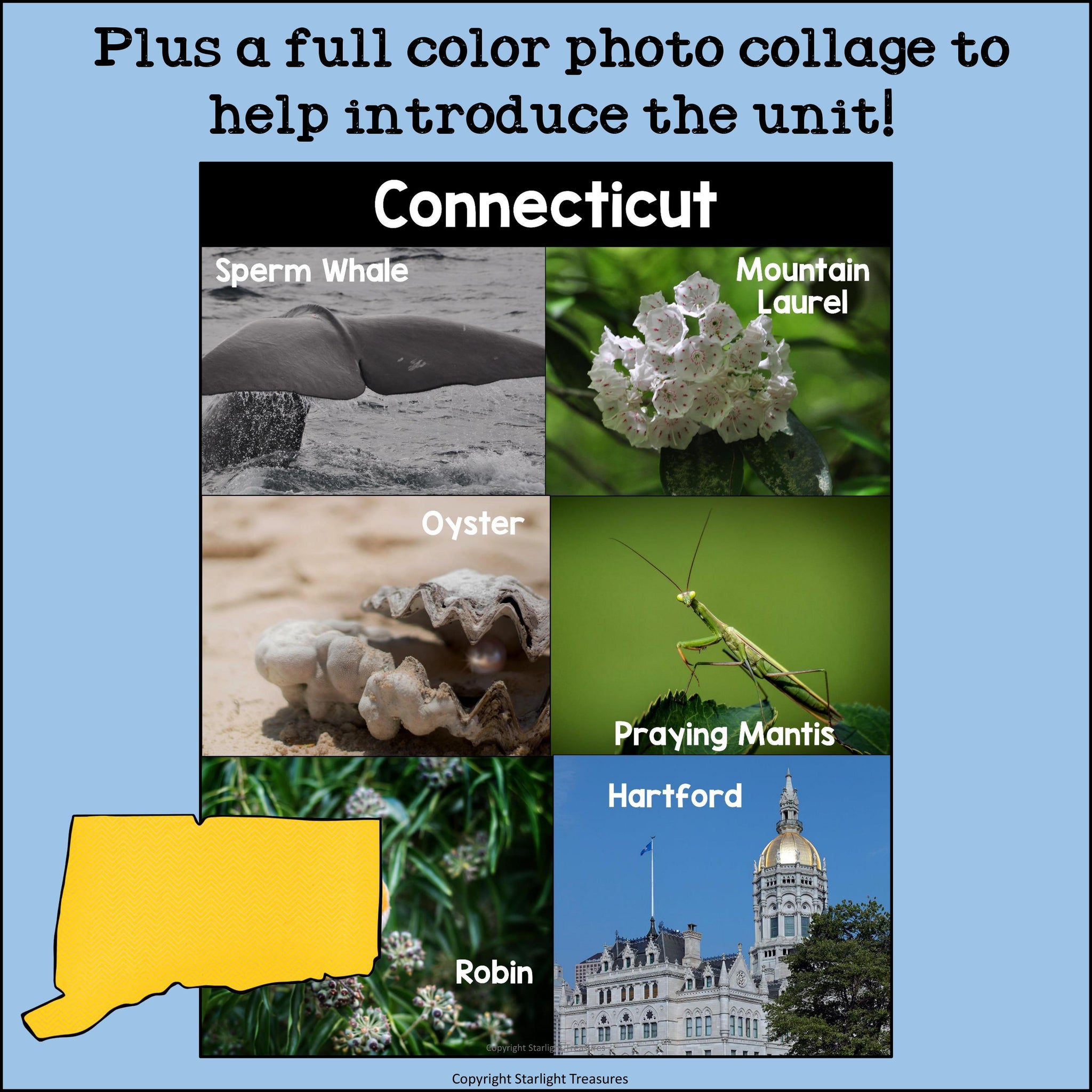 Connecticut Mini Book for Early Readers - A State Study – Starlight ...